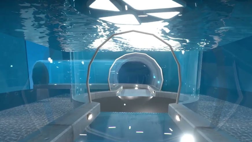 Aquarist | PC Steam Game | Fanatical