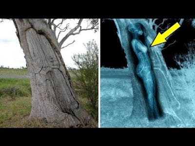 Qora | PC Mac Steam Game | Fanatical