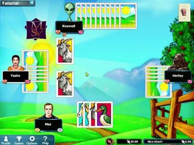 Hoyle Official Card Games | PC Mac Steam Game | Fanatical